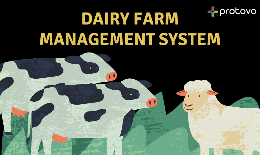 Custom Dairy Farm Management System | Protovo Solutions